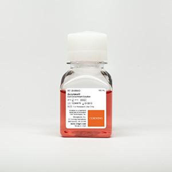 ACCUTASE® CELL DETACHMENT SOLUTION, LIQUID, 100 ML | BIOTECH RP