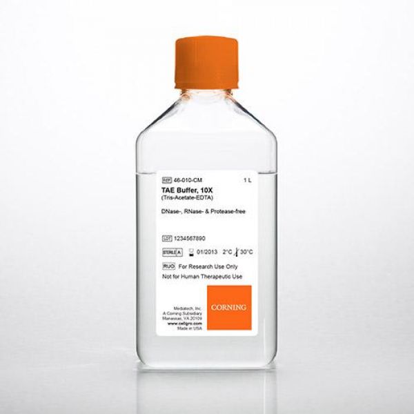 TAE 10X BUFFER, LIQUID, PH 8.3 ± 0.1 RNASE-/DNASE- AND PROTEASE-FREE, 1 ...